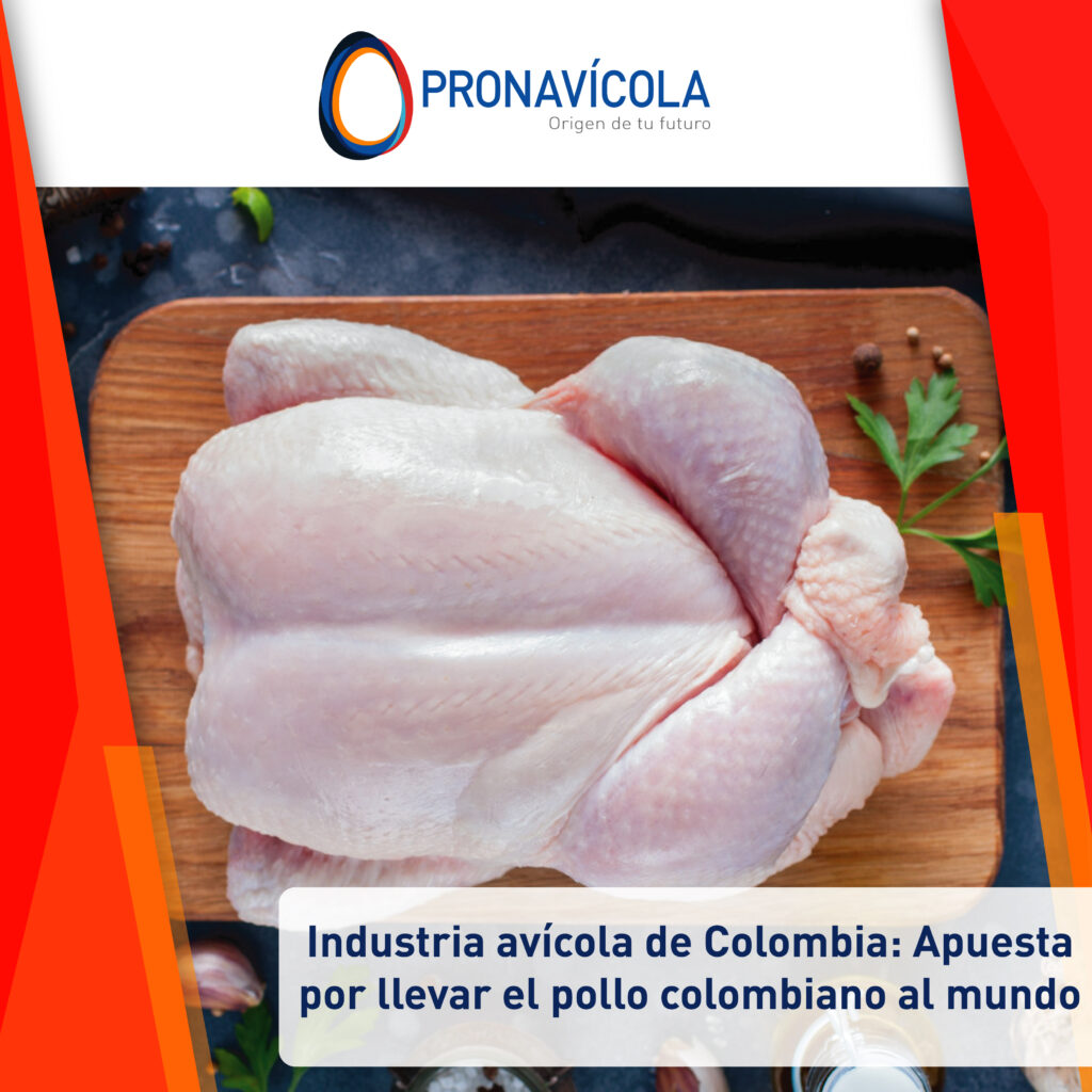 Industria avícola de Colombia: Apuesta por llevar el pollo colombiano ...