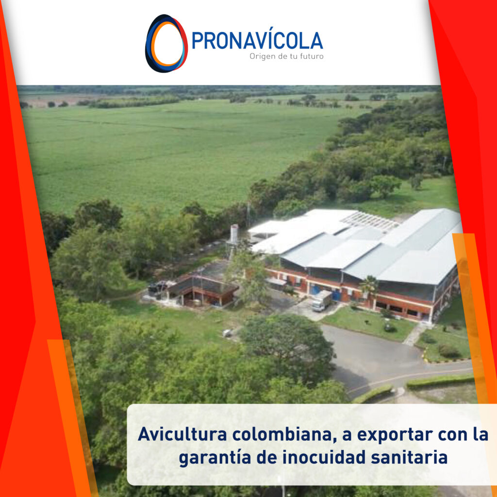 Avicultura colombiana, a exportar con la garantía de inocuidad ...