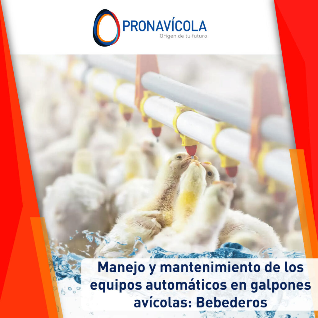 Manejo y mantenimiento de los equipos automáticos en galpones avícolas ...