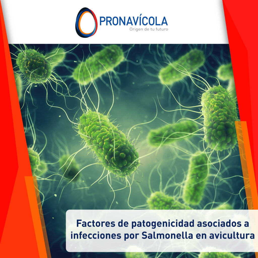 Factores de patogenicidad asociados a infecciones por Salmonella en ...