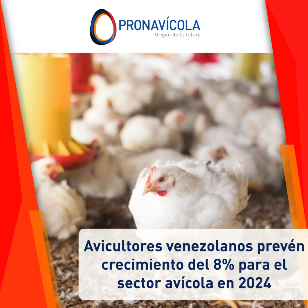 Avicultores venezolanos prevén crecimiento del 8% para el sector ...