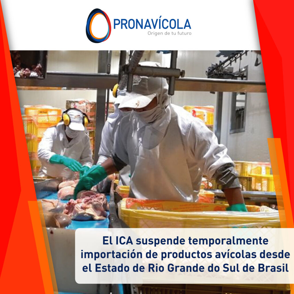 El ICA suspende temporalmente importación de productos avícolas desde ...