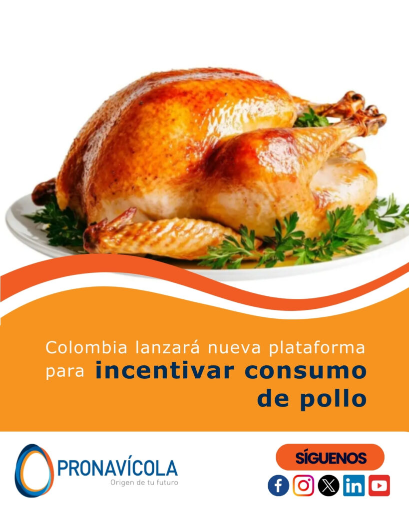 Colombia lanzará nueva plataforma para incentivar consumo de pollo ...